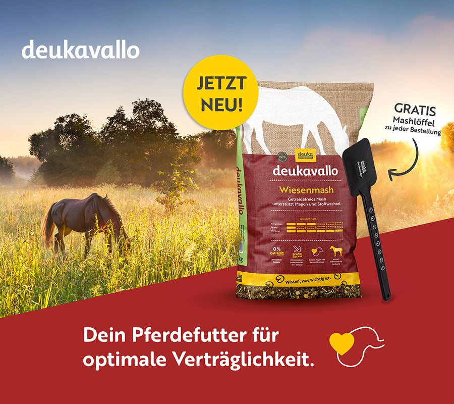 Tierfutter – das Beste für Pferd, Hund & Co. – deuka companion webshop