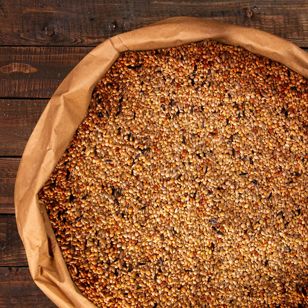 deuka Exoten | deuka companion – deuka companion webshop